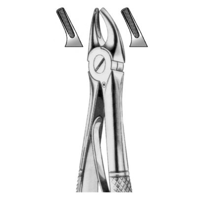 Upper Central Canines Forceps | Dental Extraction Tool