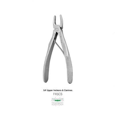 Upper Incisors Forceps | Dental Extraction Tool